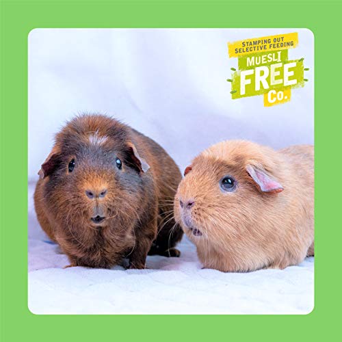 Burgess Excel Nuggets With Mint Guinea Pig Food 10kg
