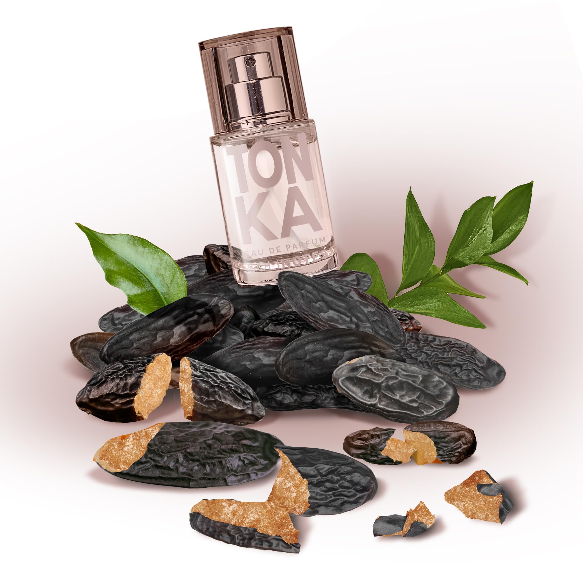 SOLINOTES Tonka Perfume for Women - Eau De Parfum | Delicate Floral and Soothing Scent - Made in France - Vegan - 0.5 fl.oz