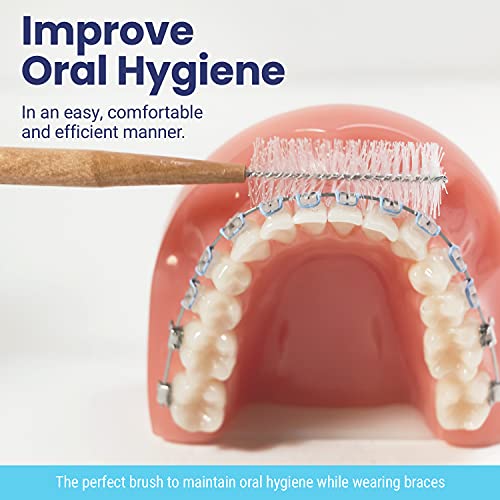 Ortho-buddy Orthodontic Toothbrush for Braces, Nylon Bristle Toothbrush for Teens & Adults with Braces, Brackets, and Wires for Regular & Interdental Cleaning of Teeth & Gums - Brown, Pack of 1