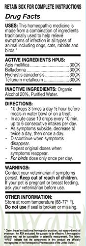 OLLOPETS Infection, Organic Homeopathic Remedy for Pets, 1 Fl Ounce