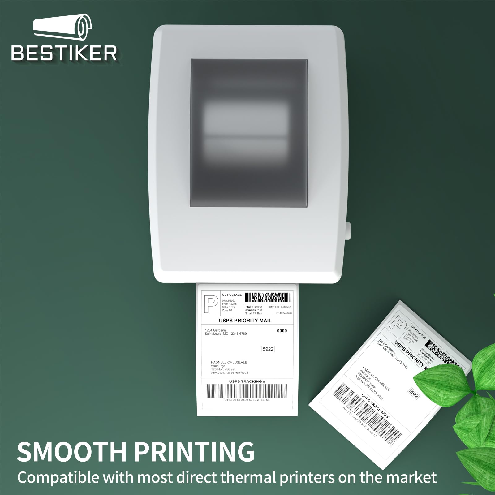 4x6 Direct Thermal Labels 20 Rolls, BESTIKER Thermal Shipping Label Roll of 250 Labels Compatible Zebra 2844 Rollo Thermal Printer 4x6 Label with Perforated Line (1β Core) - Total 5000 Labels