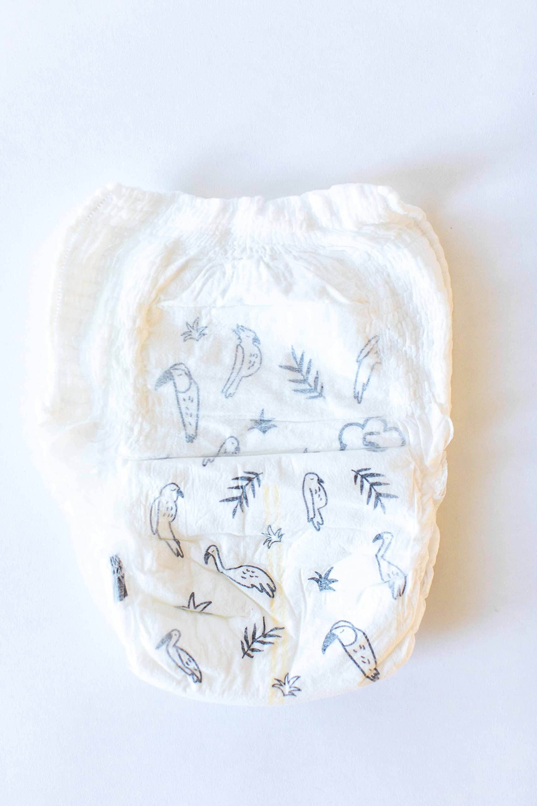 Parasol Clear+Dry™ Diaper Pants | Natural Training Diaper | Pure Ingredients, Water Based Ink, Non-Woven Fabric with Dermatest Excellent Seal | Rash Protection Diaper Set, Size 5 (26+ lbs.) 24 Count