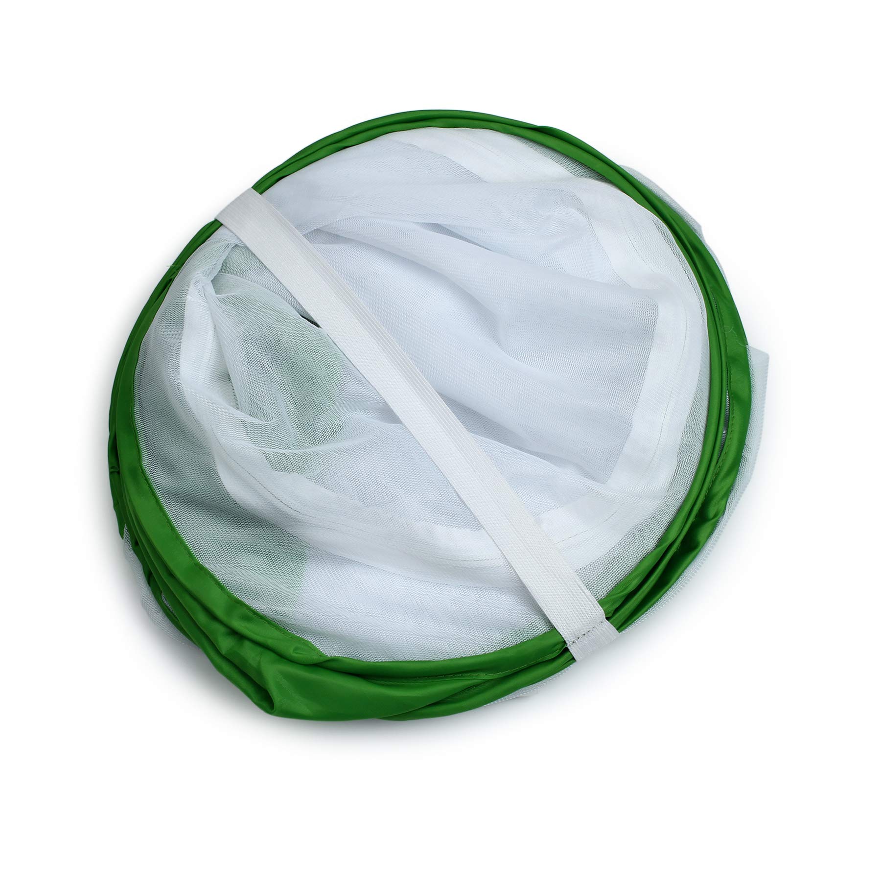 5 Feet Extra Large Monarch Butterfly Habitat, Giant Collapsible Insect Mesh Cage Terrarium Pop-up (White + Green, 35 x 35 x 59 Inches)