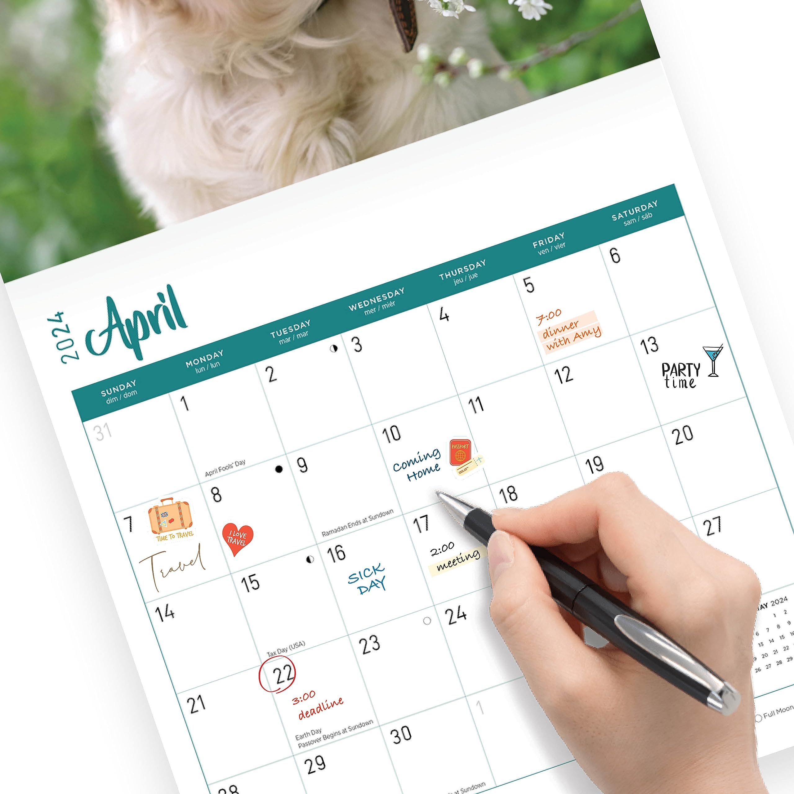 2024 Golden Retrievers Monthly Wall Calendar by Bright Day, 12 x 12 Inch Cute Dog Breed Gift