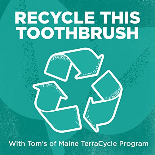 Tom's of Maine Whole Care Toothbrush, Soft, 4-Pack