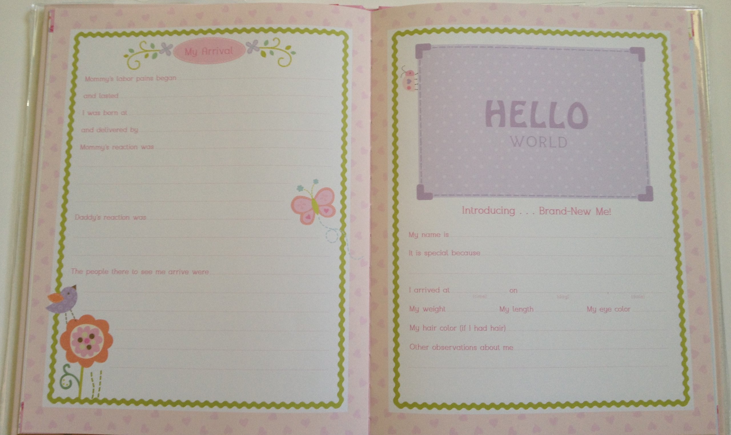 Baby's First Memory Book "Look Whoo's Adorable" Pink W/flowers, Owls, & Bird