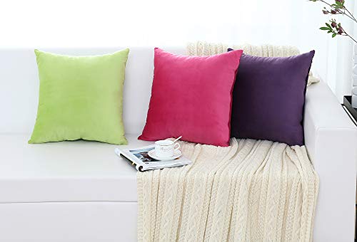 Jeneoo Comfy Soft Velvet Throw Pillow Covers for Sofa Couch, Decorative Solid Square Cushion Cases for Bedroom Car (Dusty Rose, 16 x 16 Inches, 2 Pieces)