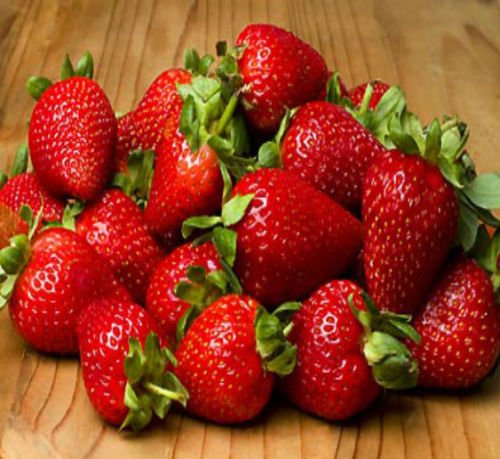 9GreenBox 20 OZARK BEAUTY STRAWBERRY PLANTS - Non GMO Heirloom Fruit - Bare Root