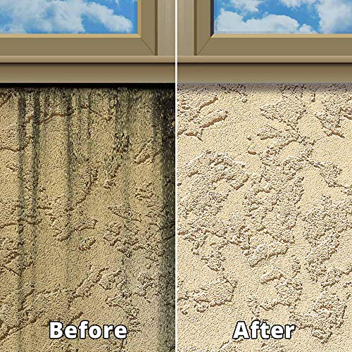 Rejuvenate High Performance Dual Bottle 32oz Outdoor Window Cleaner & 32oz Mold and Mildew Stain Remover with Hose-End Attachment