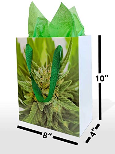 Gift Bag with Tissue, Medium Size, Hemp Bud Print, with Cotton Handles