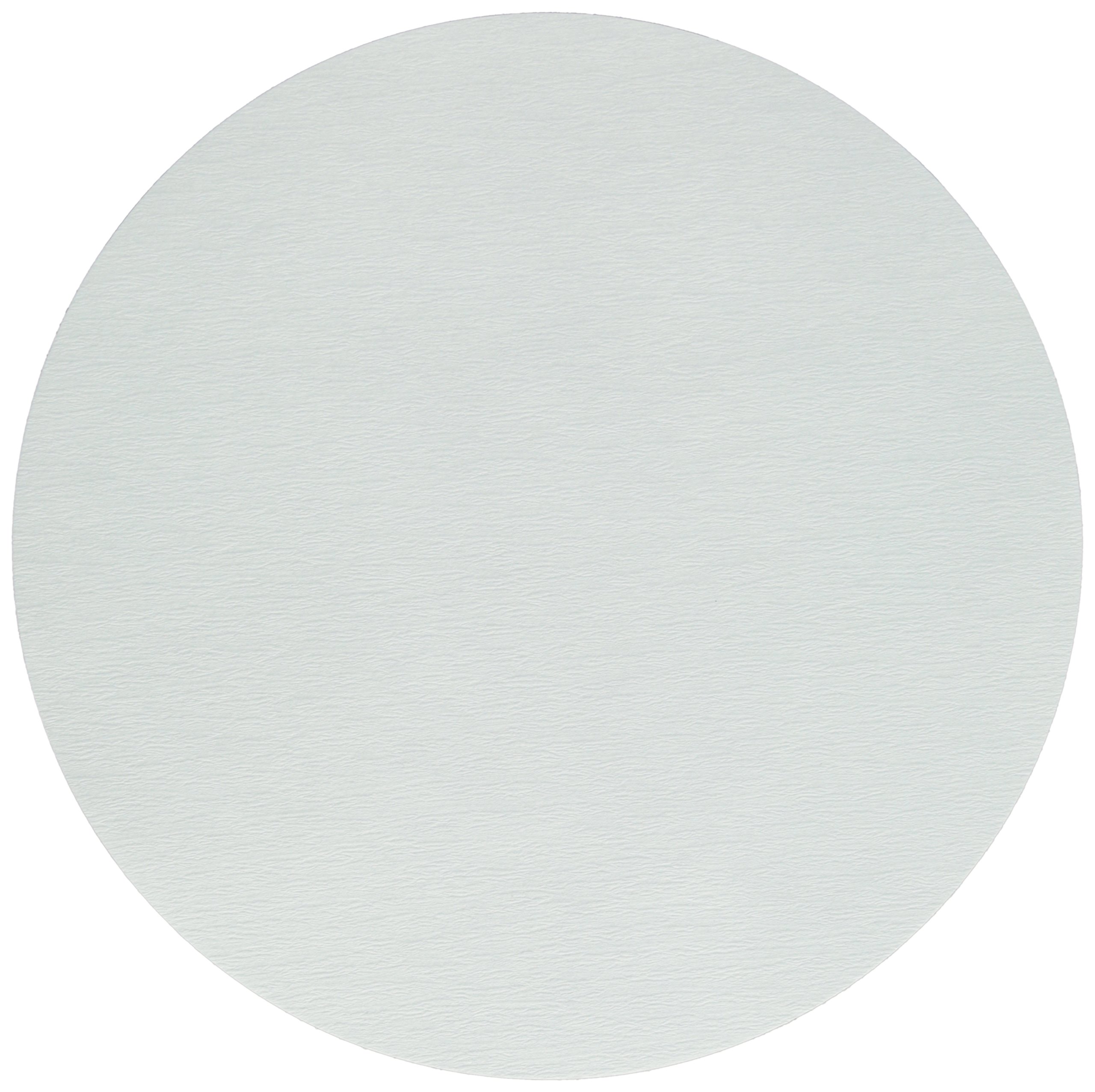 Cytiva Reeve Angel 5202-250 Qualitative Filter Paper, Circle, Crepe Surface, Medium-Fast Speed, Grade 202, 25cm Diameter (Pack of 100),White