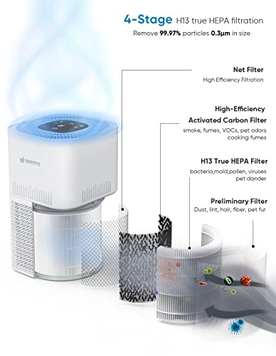 HEPA Air Purifiers for Home Large Room, CADR 300+ m³/h 1290sqft, with Extra H13 True HEPA Air Filter for Allergies Pets Dander