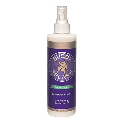 Buddy Biscuits Splash Dog Deodorizer & Conditioner, Easy Spray On with Botanical Extracts, Lavender & Mint 16 oz (15402)