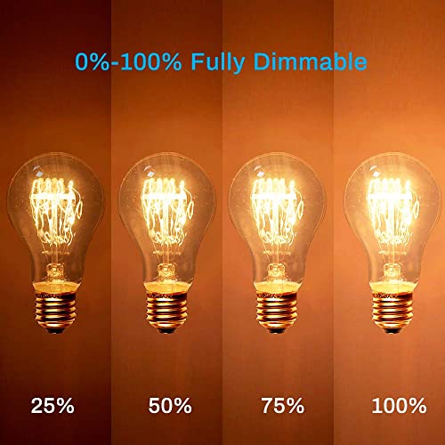 4-Pack Edison Light Bulb, 60 Watts, A19 Vintage Incandescent Light Bulbs, Dimmable Old Fashioned E26 Incandescent Light Bulbs, 240 Lumens, 2100K Warm White, Amber Glass