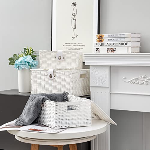 Homepeaz Set of 3 Woven Wicker Storage Basket Box with Lid & Lock, Built-in Carry Handles, Multifunctional Storage Organiser for Nursery, Baby, Clothes, Toys, Books, Large/Medium/Small Size (White)