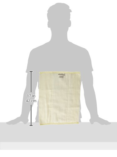 Dandelion Diapers 100% Organic Cotton Natural Unbleached DSQ Cloth Diaper Prefolds (Infant Size 2-3 Pack)