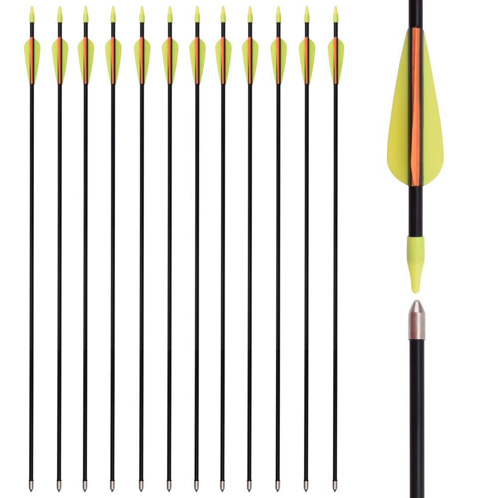 26 Inch Fiberglass Youth Arrows Archery Target Kids Recurve Bow Children Practice for Beginners Outdoor (Pack of 12)
