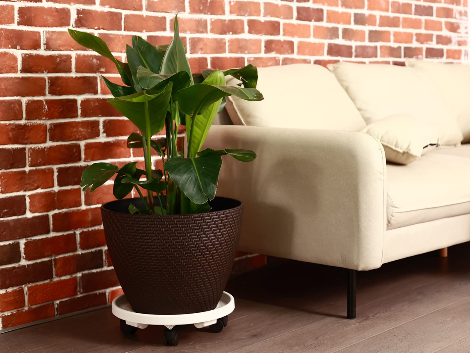 3 Pack Large Plant Caddy with Wheels 15.8" Rolling Plant Stands Heavy-duty Plastic Plant Roller Base Pot Movers Plant Saucer on Wheels Indoor Outdoor Plant Dolly with Caster Planter Tray Coaster White