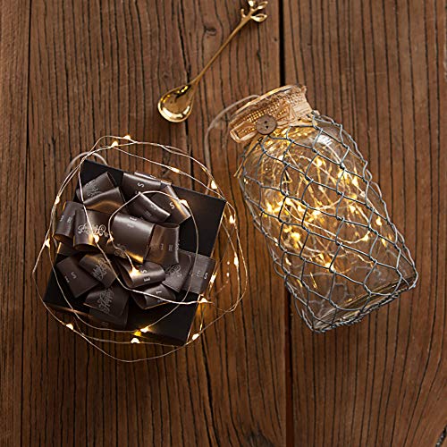 2 Sets of ATTAV LED String Lights with Timer, Battery Operated 20 Micro LEDs on 7 Feet Ultra Thin Copper Wire, Starry String Lights Fairy Lights for Bedroom Christmas Party Wedding Dancing(Warm White)