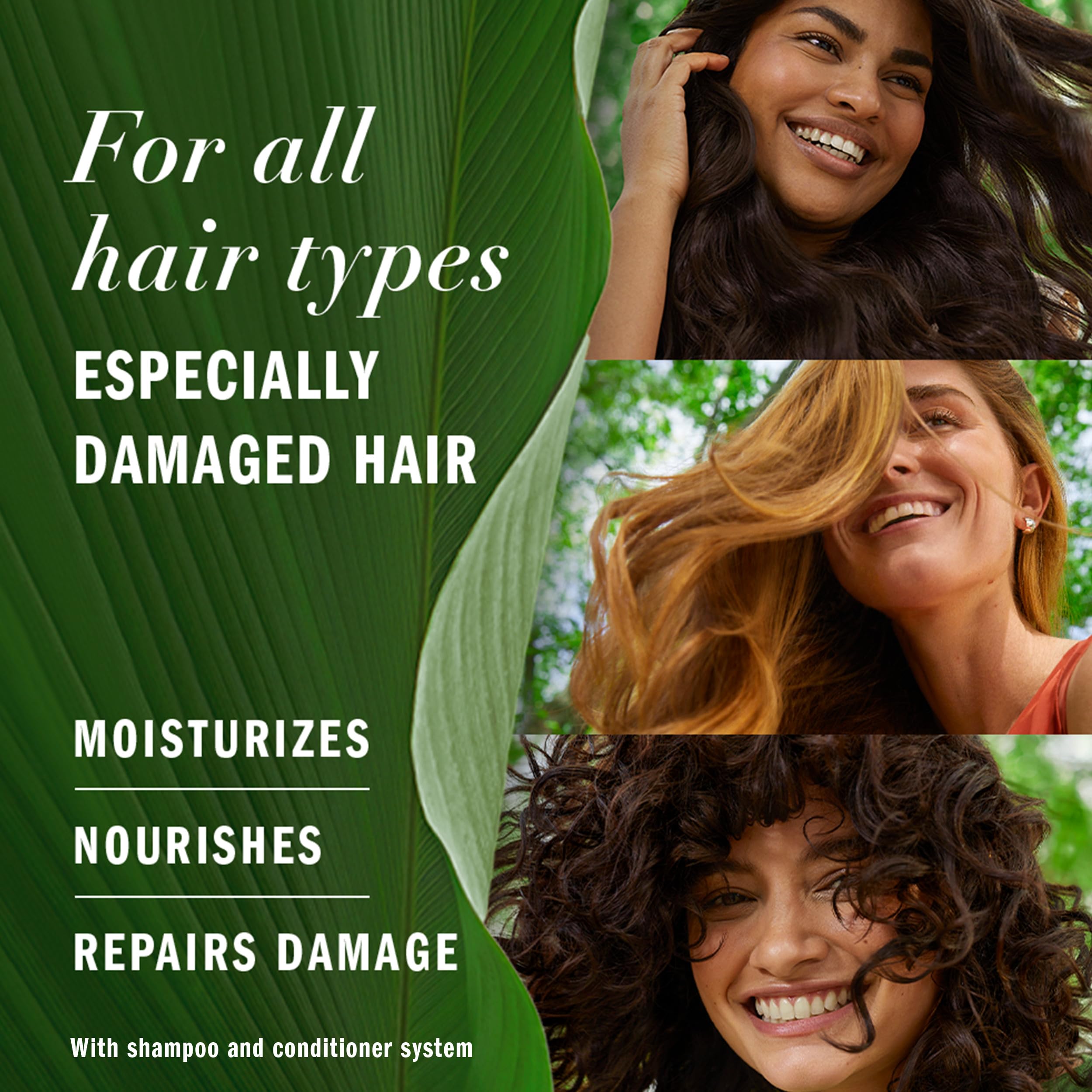 Herbal Essences Bio Renew Repair Argan OIl Hair Conditioner - 20.2 fl oz