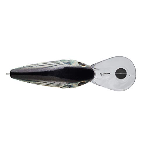 Berkley Dredger Fishing Lure, HD White Bass, 5/16 oz, 2in | 5cm Crankbaits, Tight, Subtle Action Ideal for Deep Water Fish, Equipped with Sharp Fusion19 Hook