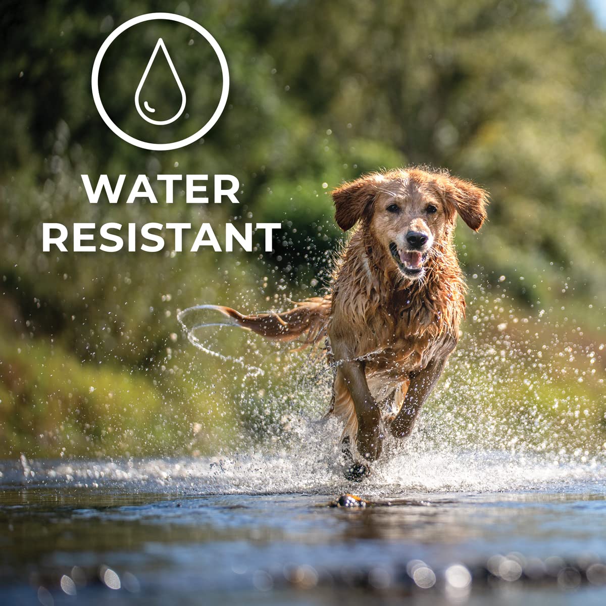 ACTIVPHY Hip + Joint Mobility Collar for Dogs with Glucosamine, Chondroitin, MSM, and More | Convenient & Easy | 30 Days of Continuous Support | Water Resistant (Small)