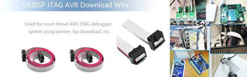LIANSHU 2Pack Flat Ribbon Cable 2.54mm Pitch 2 Row 10 Pin Female to Female Wires IDC Ribbon Connector L=1M/ 3.3FT