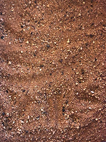 JurassicNatural Australian Desert Dragon Habitat 20lb Substrate for Bearded Dragons and Other Lizards, Red (DESERT020)