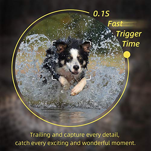 2-Pack Outdoor Trail Game Cameras 24MP Picture 1296P/1080P Video Wildlife Hunting Deer Camera 100ft Night Vision No Glow 0.1S Trigger Speed Motion Activated Waterproof Password Protected Time Lapse