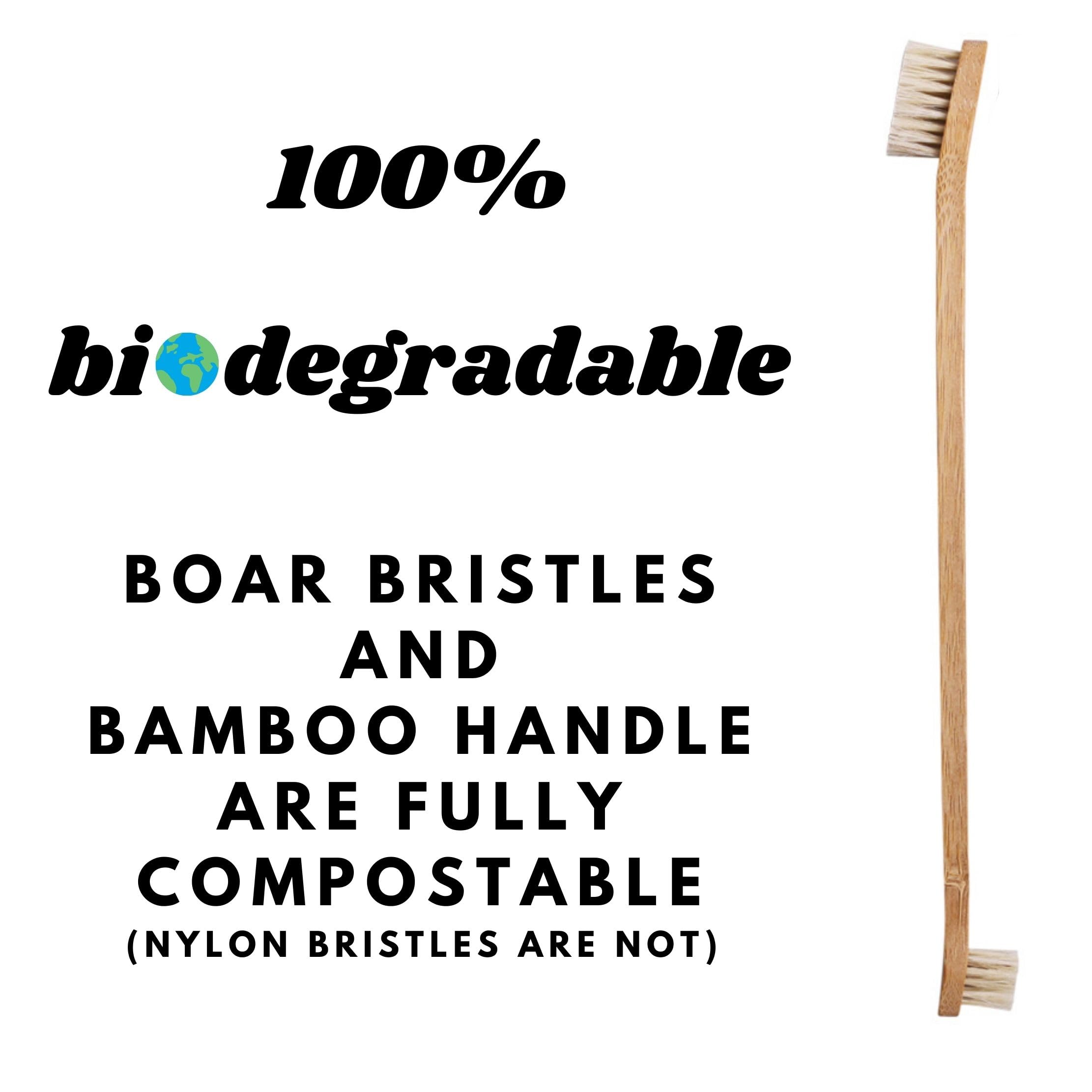 Gaia Guy Bamboo and Boar Bristle Double-Sided Pet Toothbrushes - 6-Pack - for Dogs, Cats and Planet - Plastic-Free and Nylon-Free Natural Bristles - No Microplastics