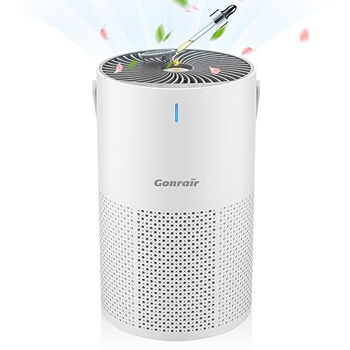 Air Purifiers for Bedroom Home 5 Layers H13 HEPA Air Filter, 22dB Ultra-quiet Air Purifier for office,Desktop,Kitchen,Filter 99.99% Smoke,Pollen, Pet Dander,Dust,Ozone Free,Available for California