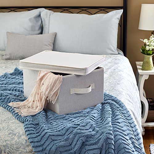 Household Essentials 113 Storage Box with Lid and Handle - Natural Beige Canvas - Large