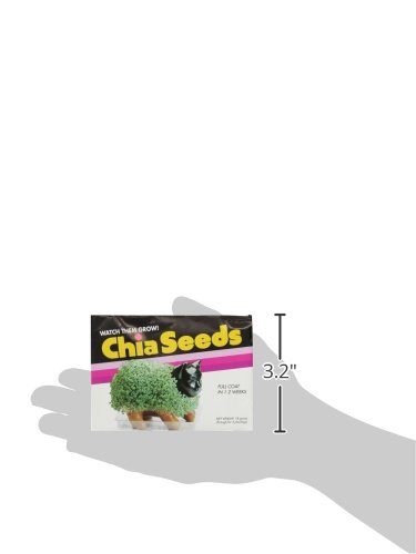 Chia Seed Pack, 3 Count(Chia pet not Included)