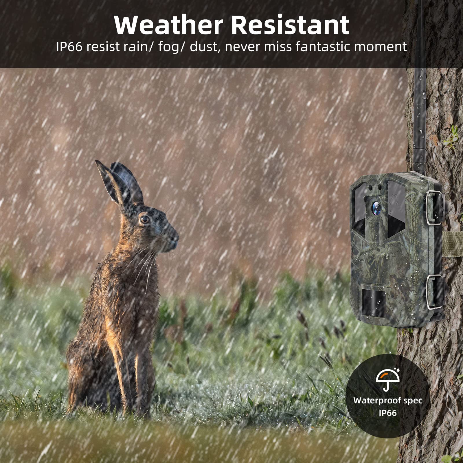 4G Cellular Trail Camera 2.7K 14MP with Micro SIM Card (AT&T), 4G LTE Network IP66 Waterproof Trail Game Camera with Night Vision Motion, APP Control Remote Send Videos & Photos