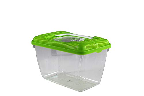 Penn-Plax Small World Habitat – Portable Clear and Transparent Plastic Tank – Excellent for Small Critters and Creatures – Easy to Clean & Handle – 0.6 Gallon