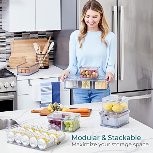 iDesign Plastic Refrigerator Organizer Bin Set The Spruce Fridge Binz, Set of 7, Clear/Matte Gray, 7 Count