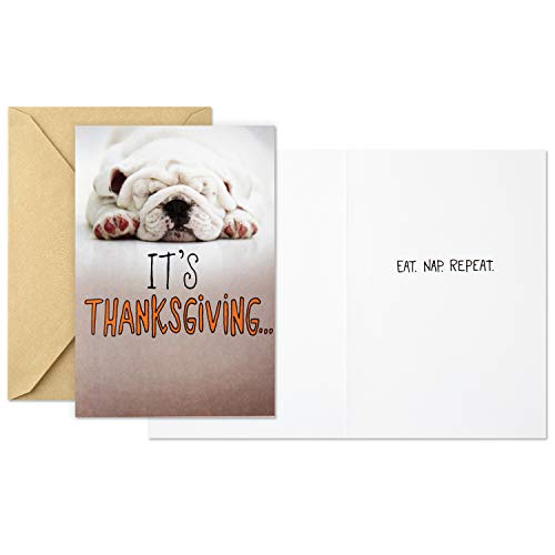 Hallmark Funny Shoebox Funny Thanksgiving Card Assortment (6 Cards with Envelopes)