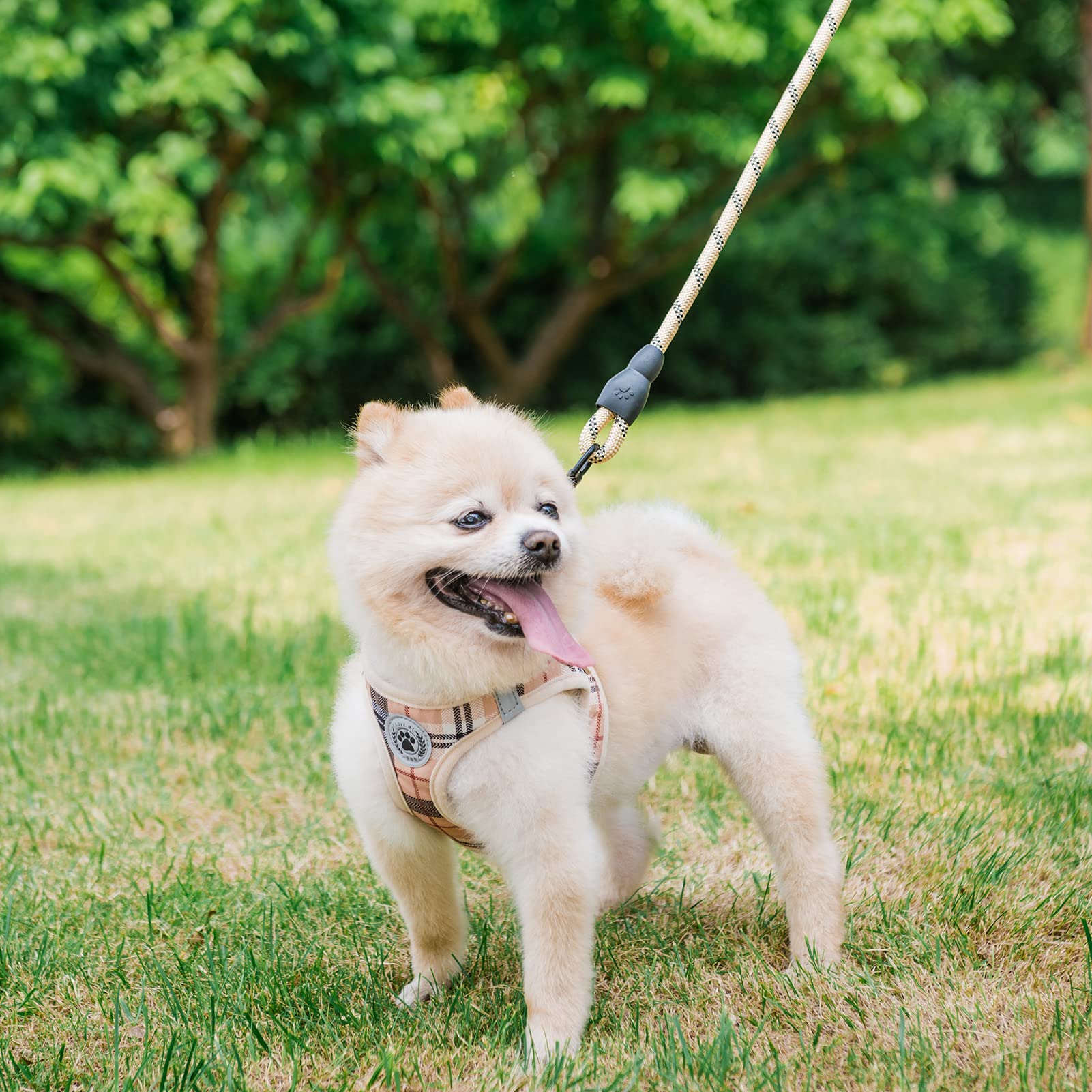 BEAUTYZOO Small Dog Harness and Leash Set,Step in No Chock No Pull Soft Mesh Dog Harnesses Reflective for Extra-Small/Small Medium Puppy Dogs and Cats, Plaid Dog Vest Harness for XS S Pets, Beige XS