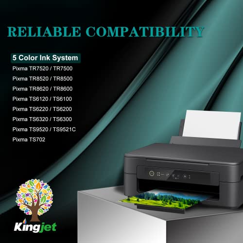 Kingjet Compatible Ink Cartridge Replacement for Canon 280 281 PGI-280XXL CLI-281XXL PGI-280 CLI-281 XXL Work with Canon Pixma TR8520 TR7520 TS6120 TS6220 TS6320 TS8120 TS8220 TS9120 Printer, 5 Pack