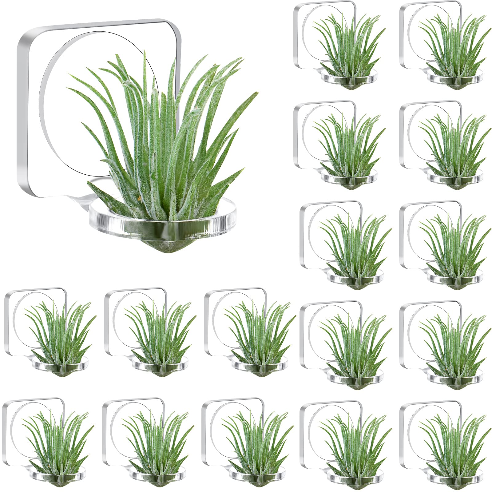 24 Pcs Air Plants Holder, Acrylic Air Plant Hanger with Mounting Tape for Hanging Air Plants on Glass Display Home Decoration, Plants Not Included