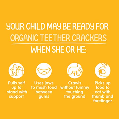 Happy Baby Organics Baby Snacks, Gentle Teething Crackers, Gluten Free & Vegan, Mango & Pumpkin, 12 Count (Pack of 6)