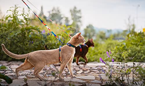 pidan Cat Harness and Leash Set, Cats Escape Proof - Adjustable Kitten Harness for Large Small Cats, Lightweight Soft Walking Travel Petsafe Harness((Multicolor)