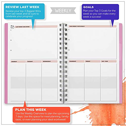 Pink Daily Planner 2.0 - Daily Planner 2023 Page a Day - Monthly, Weekly and Daily Sections Simplified - Undated Goal Oriented 3 Month Agenda Planner by Panda Planner - 5.75β x 8.25β