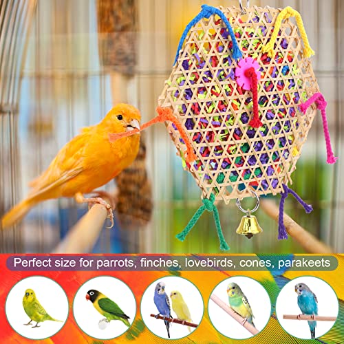 AK KYC Bird Parrot Toys,2 Pack Bird Hanging Foraging Shredder Toys for Small Medium Small Bird Conure Cockatiel Parrotlet Lovebird Budgie