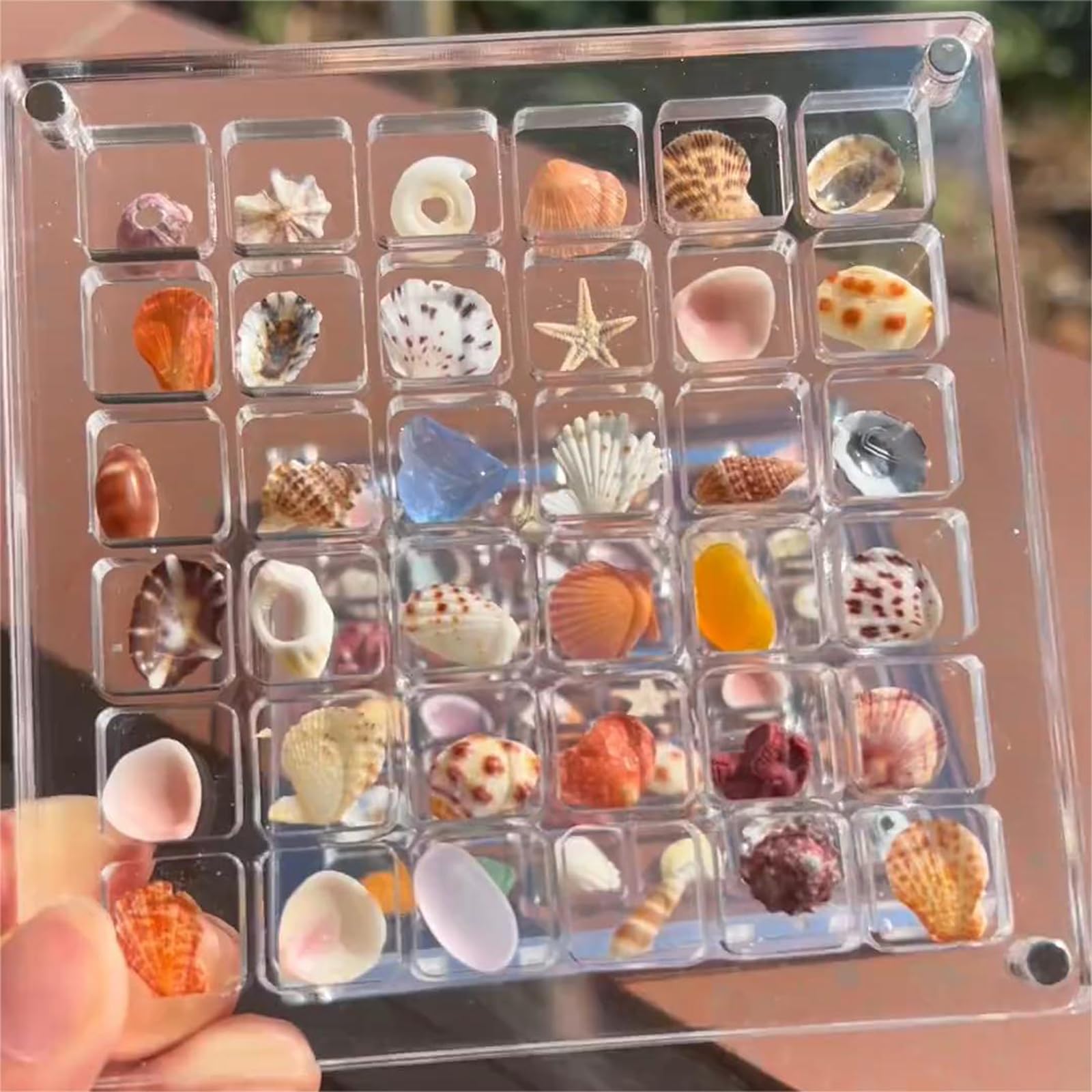 XronSlute Acrylic Magnetic Seashell Display Box,DIY Seashell Display Box,Clear Storage Box for Seashell,Gemstones,Nail,Jewelry (1Pc 36 Grids Small)