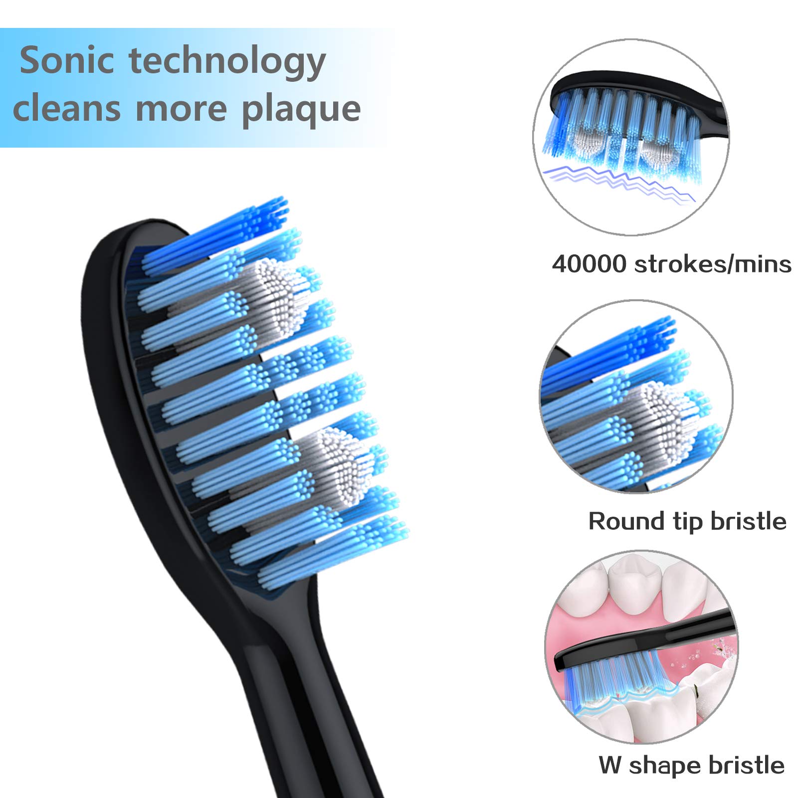 Lächen Electric Toothbrush Double Pack, Sonic Toothbrushes with 10 Brush Heads, 5 Modes, 2 Travel Cases, Smart Timer, 48000VPM, USB Rechargeable Toothbrush for Adults