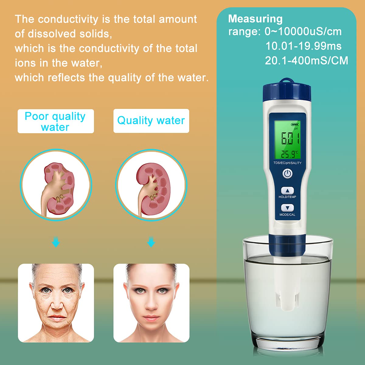 5 in 1 TDS Meter Water Tester, Conductivity(EC) Meter, TDS/EC/Salt/Temp/PH Meter for Water, Pool Salt Tester 0.01 High Accuracy Water Testing Kits for Drinking Water, Pool, Fish Tank and Hydroponics