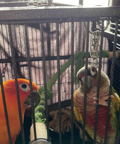 Bird Stand Perch U Shape Bird Perch Stand Toy,Hemp Rope Material Parrot Stand Platform Accessories Exercise Toys for Birds and Parrots Natural Bird Cage Toys Supplies for Small Medium Birds