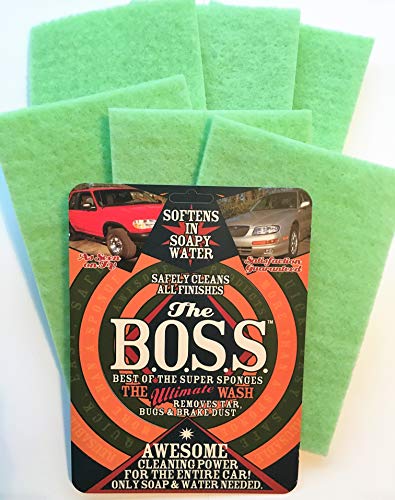 Bug Removing Boss Sponge, Easy Reach Kit - UPGRADED Version