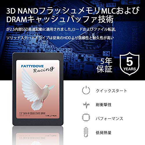 FATTYDOVE 2.5 inch SSD 240GB Internal Drive SATA III 6 Gb/s Solid State Drive with SATA 3.0 Cable for 4K Video Game/PC (240GB SSD Drive)